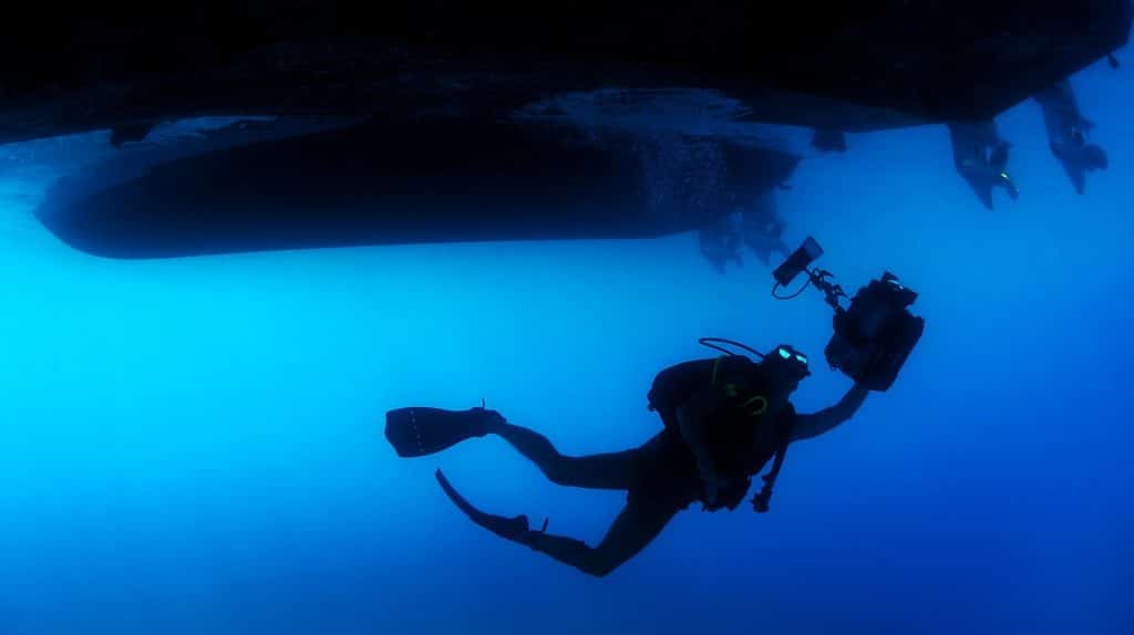 How to Ascend in Scuba Diving | DOWN TO SCUBA