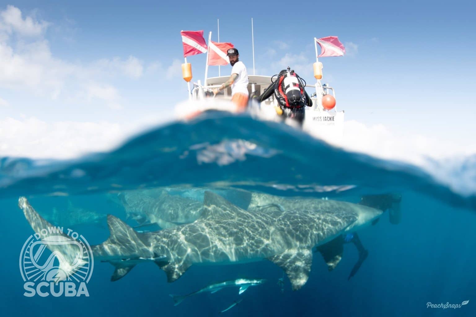 What Does a Diver Down Flag Look Like - Two Types - DOWN TO SCUBA