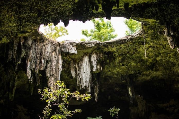 What is a Cenote and the Different Types of Cenotes? - DOWN TO SCUBA