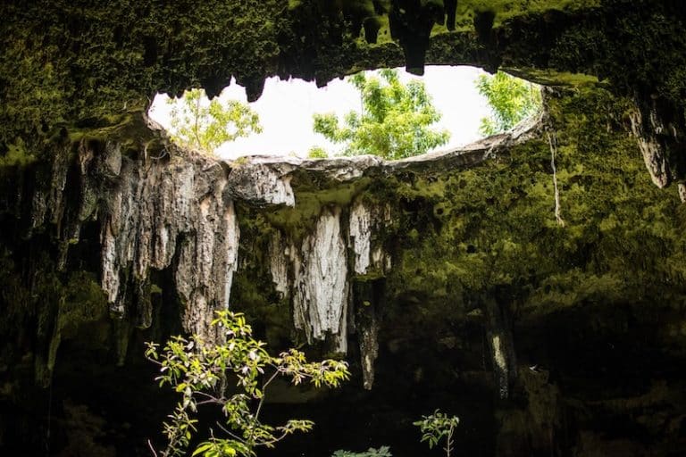 What is a Cenote and the Different Types of Cenotes? - DOWN TO SCUBA
